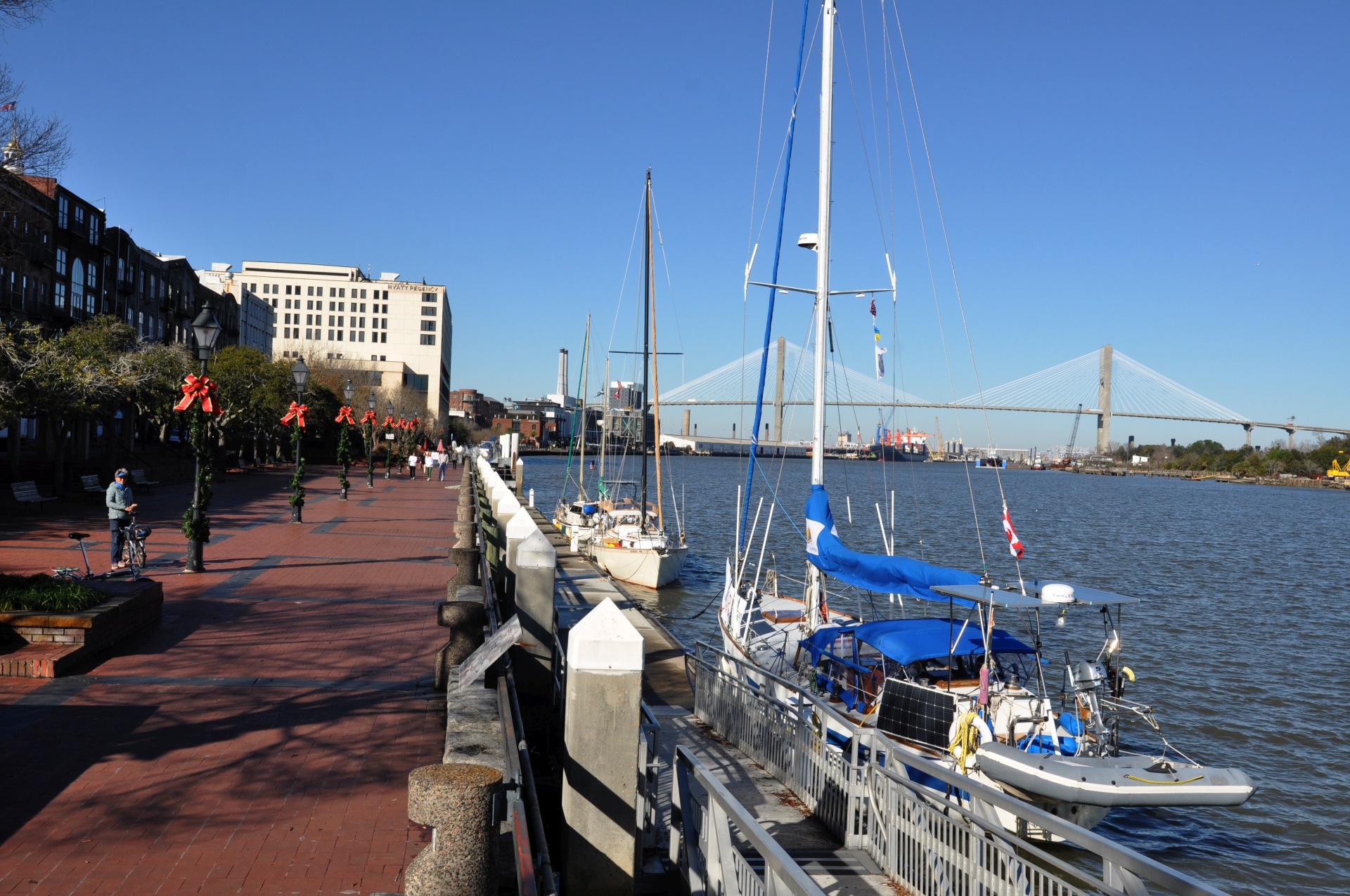 Ah, Savannah! – Sail for Science