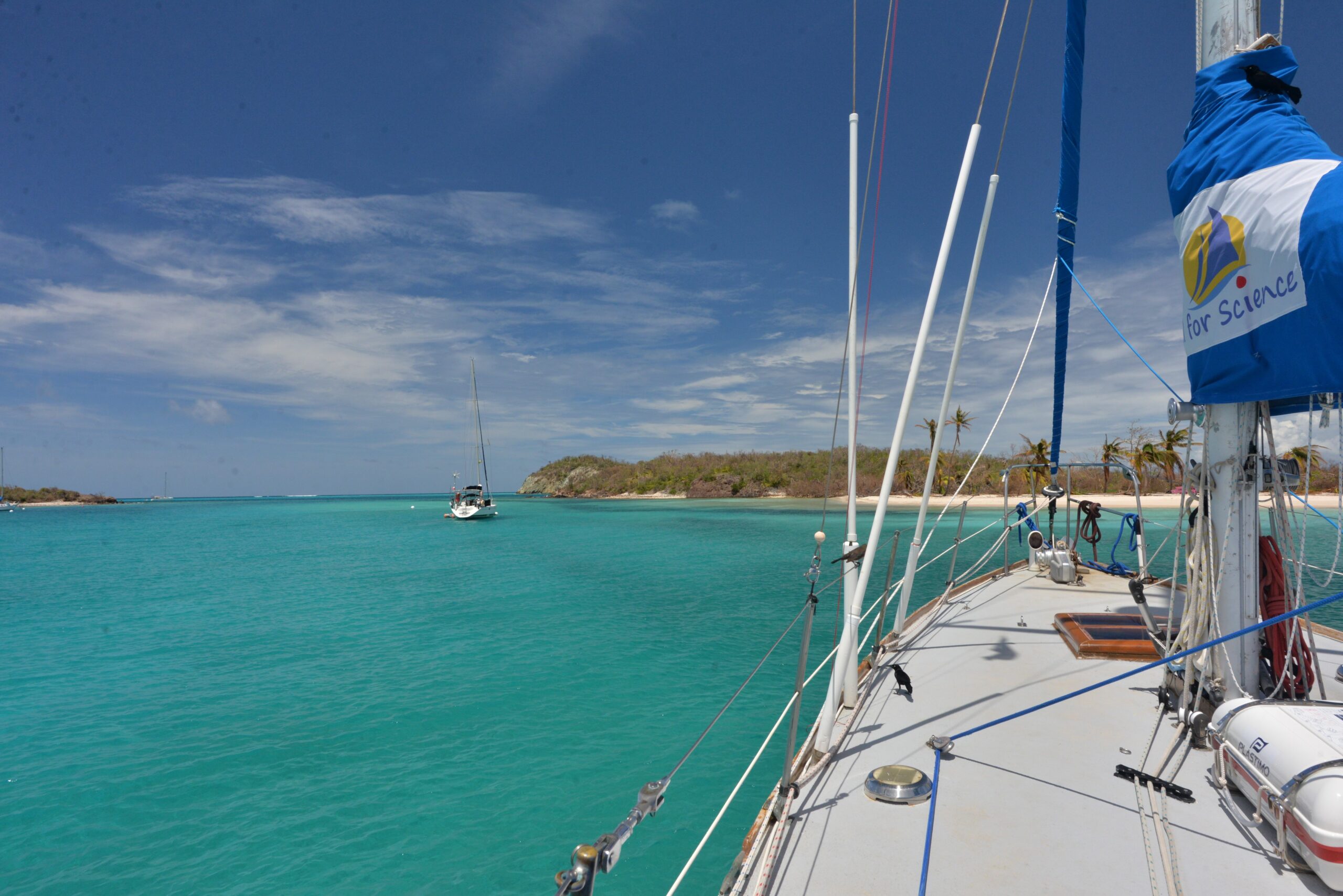The Enchanting Tobago Cays: A Caribbean Gem – Sail for Science