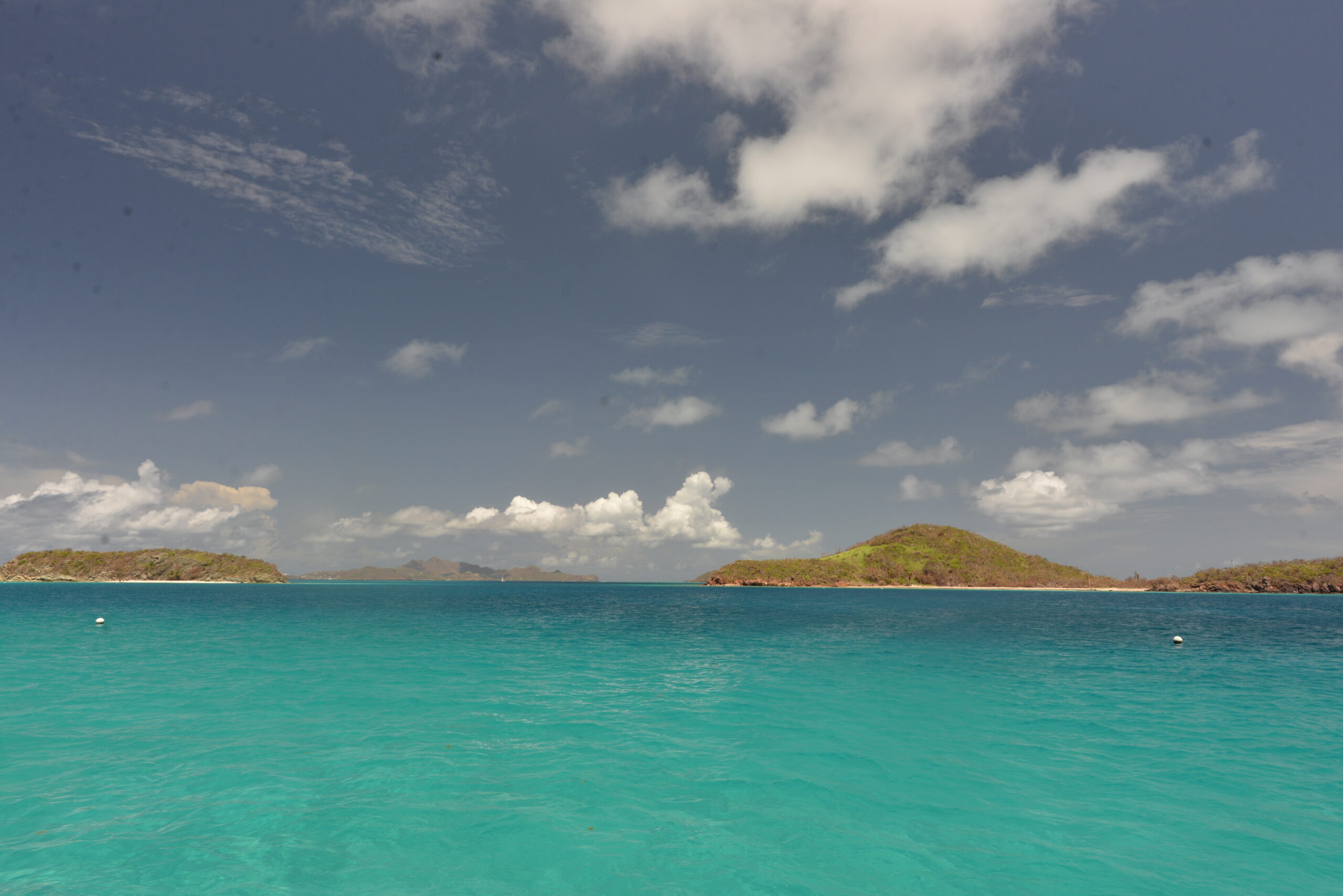 Tobago Cays forever! – Sail for Science