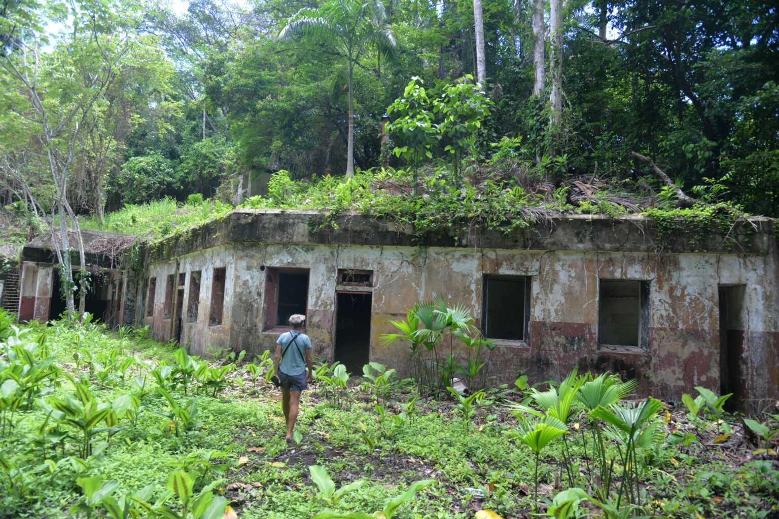 Exploring the Forgotten Fort: A Visit to Fort Sherman – Sail for Science
