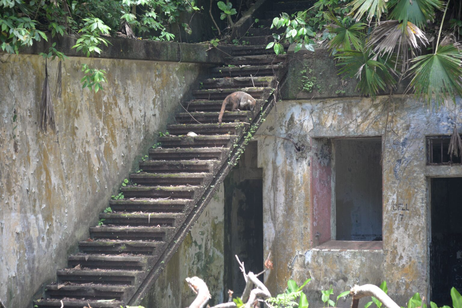 Exploring the Forgotten Fort: A Visit to Fort Sherman – Sail for Science