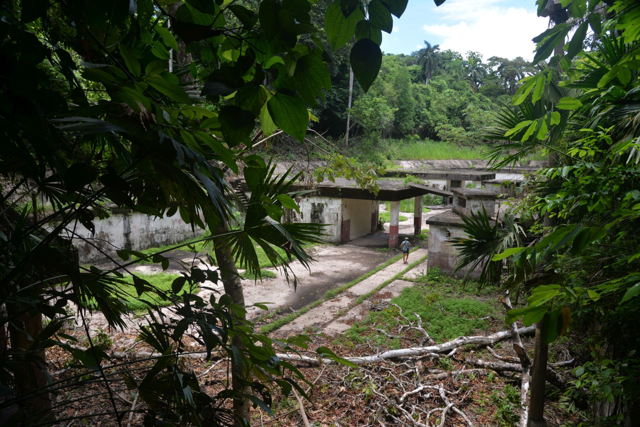 Exploring the Forgotten Fort: A Visit to Fort Sherman – Sail for Science