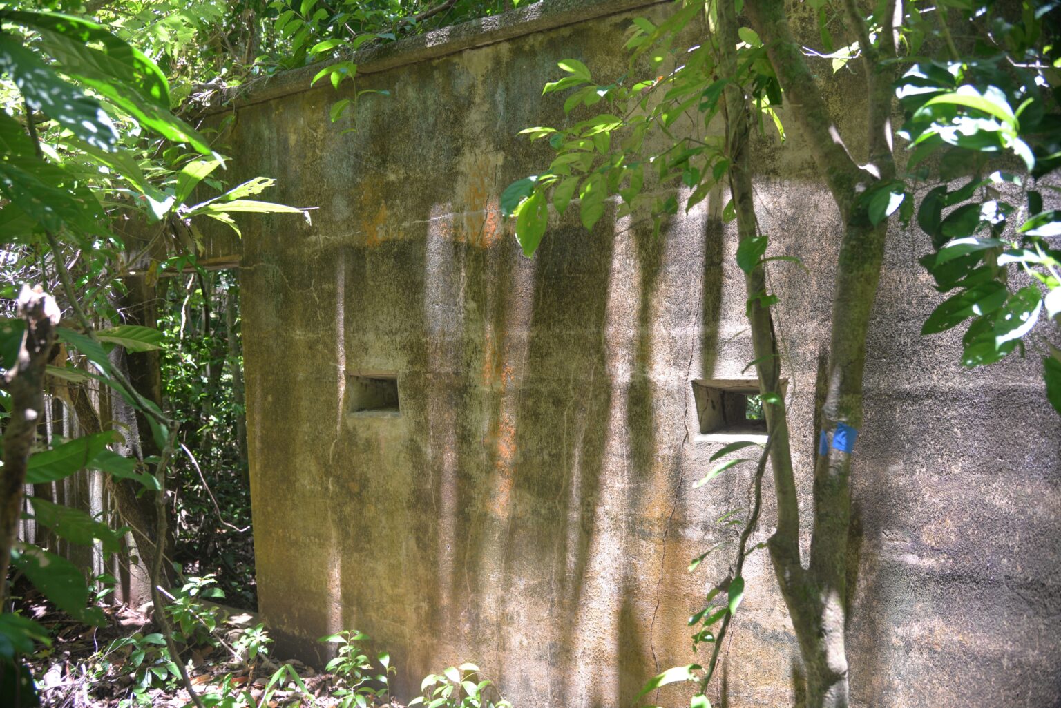Exploring the Forgotten Fort: A Visit to Fort Sherman – Sail for Science