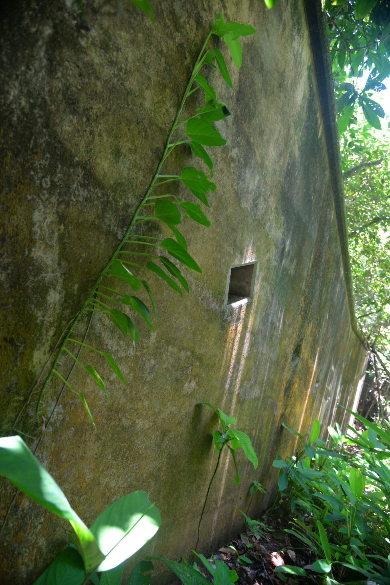 Exploring the Forgotten Fort: A Visit to Fort Sherman – Sail for Science