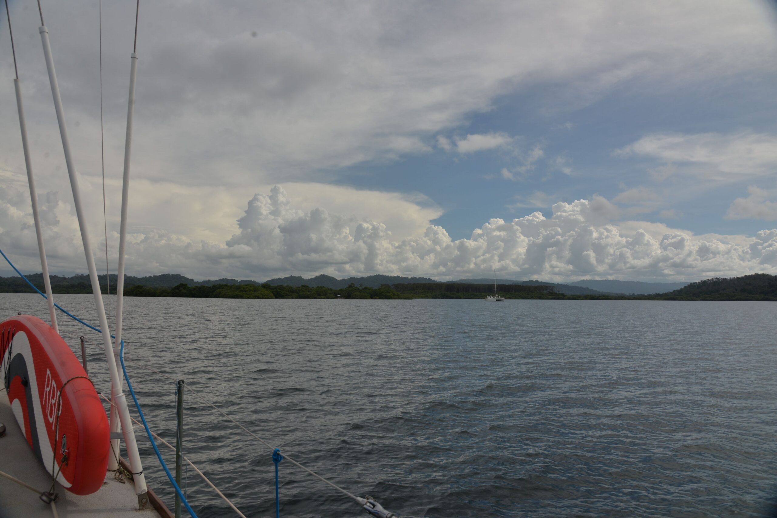 Low Expectations, High Spirits: A Surprise Visit in Dolphin Bay – Sail ...